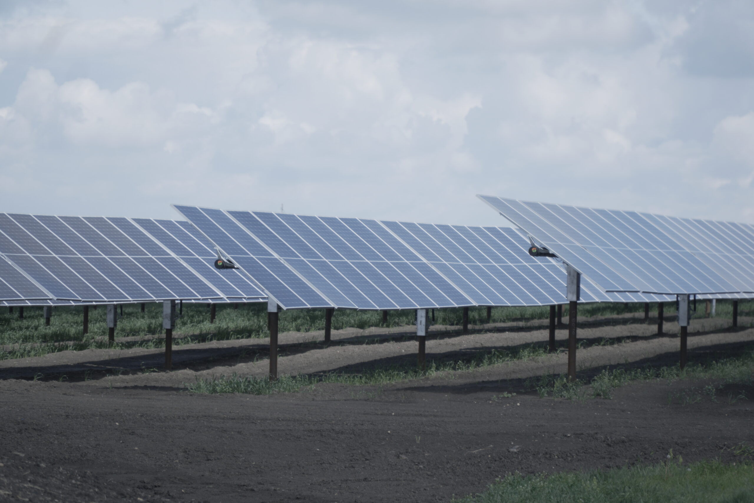 Fox Coulée Solar Farm - Neoen Canada